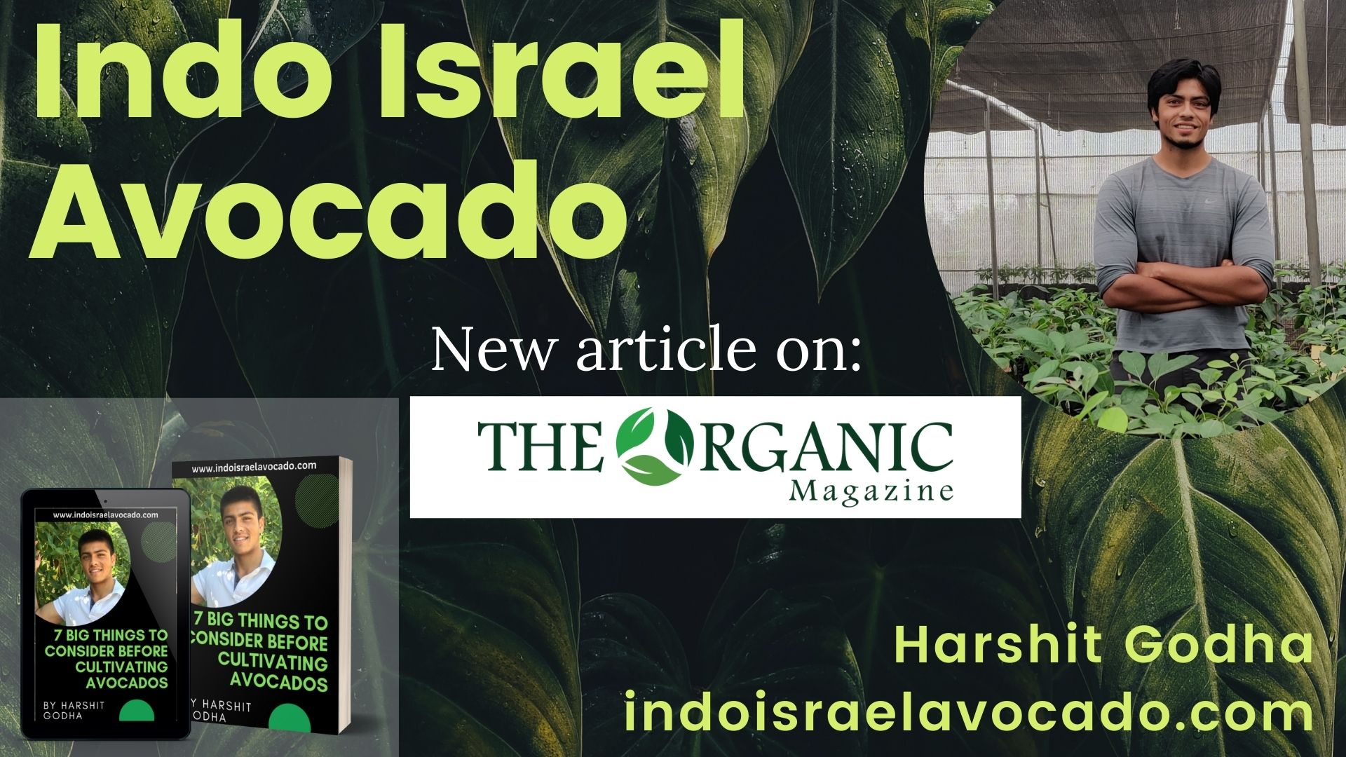 Why Avocados? - Indo Israel Avocado