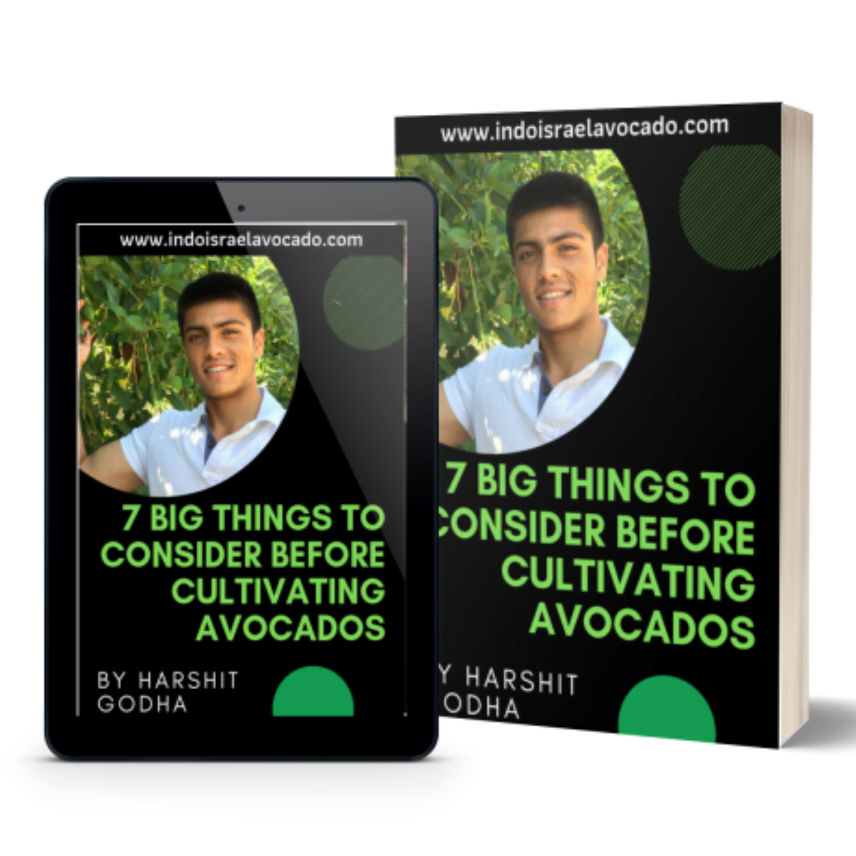 Avocado Farming in India - Complete Guide to Profit - Indo Israel Avocado