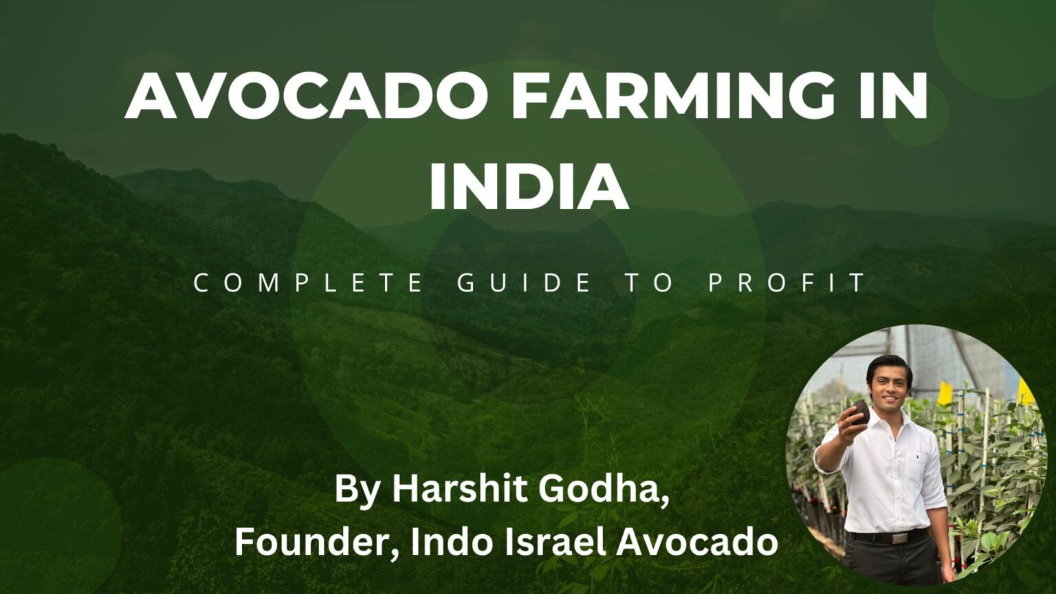 Avocado Farming in India - Complete Guide to Profit - Indo Israel Avocado