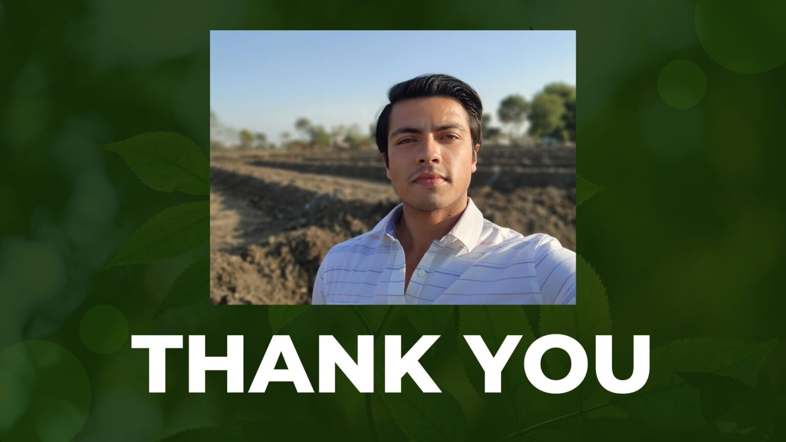 Avocado Farming in India - Complete Guide to Profit - Indo Israel Avocado