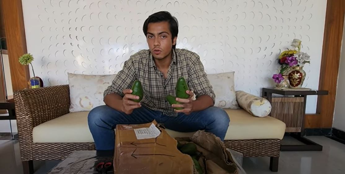 Why Avocados? - Indo Israel Avocado