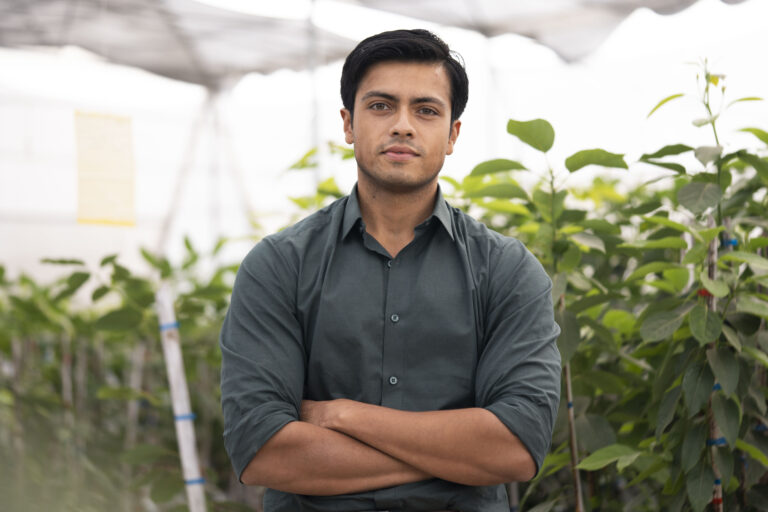 Avocado Farming in India - Complete Guide to Profit - Indo Israel Avocado